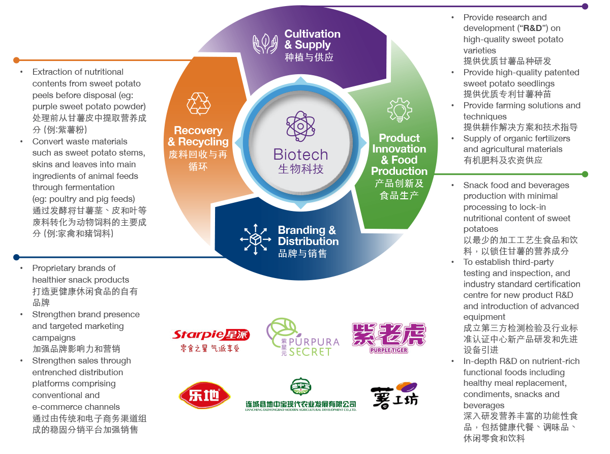 Zixin Group Holdings Limited - Overview
